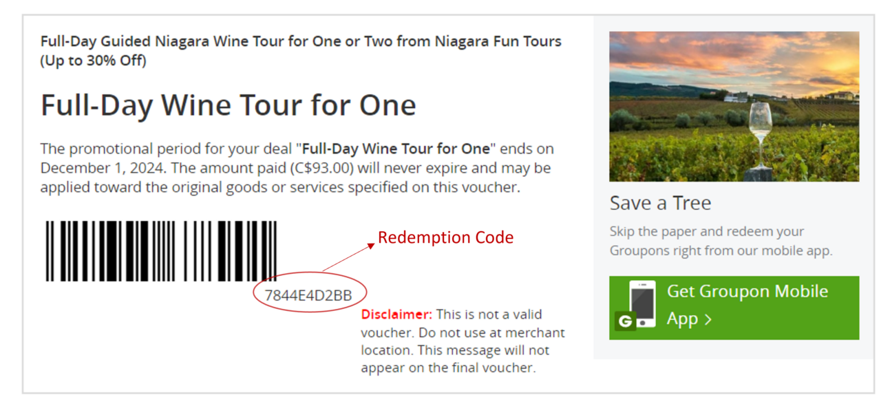Groupon Redemption - Niagara Fun Tours